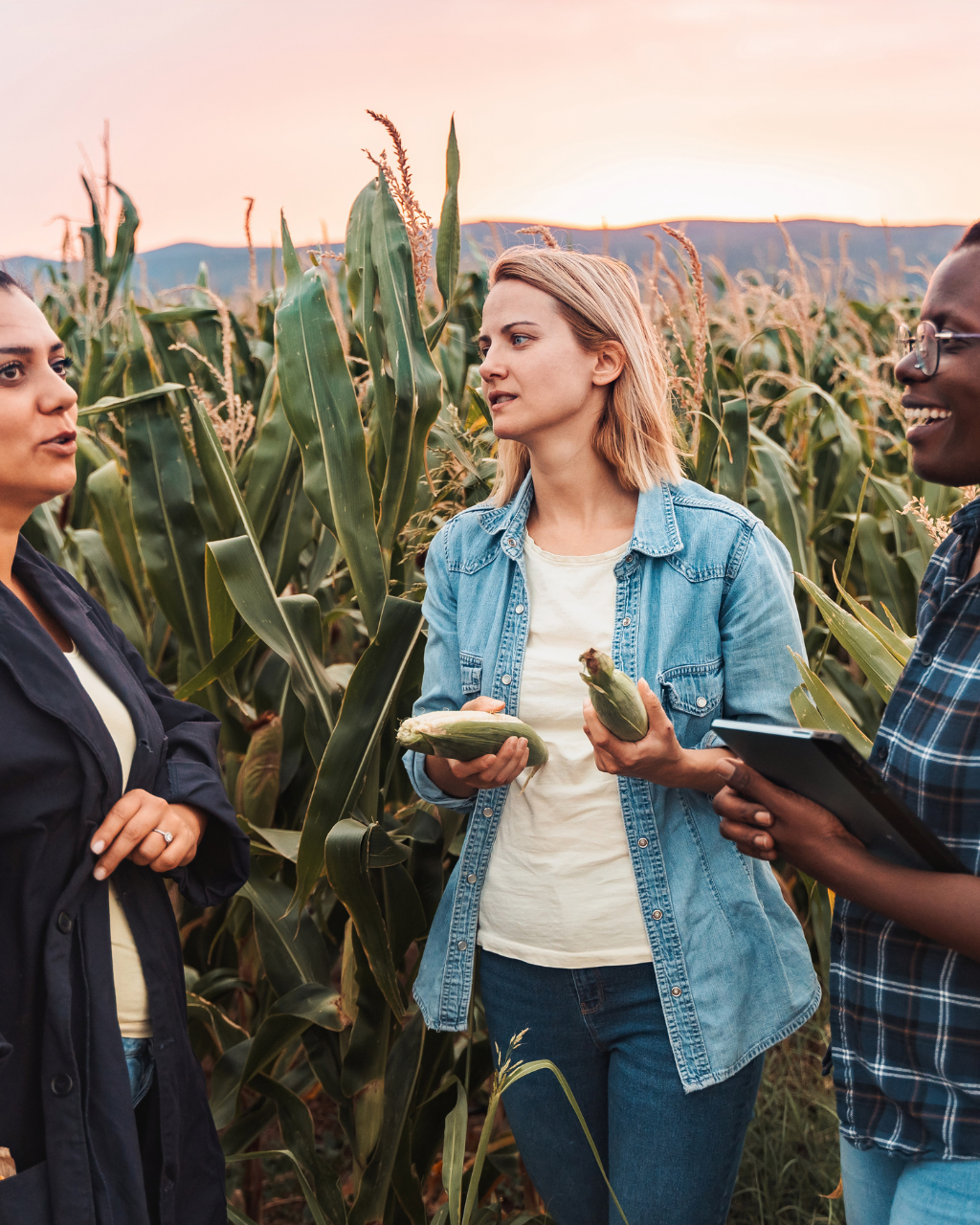 The Golden Rules Of Dispute Resolution | Carbon Law Partners